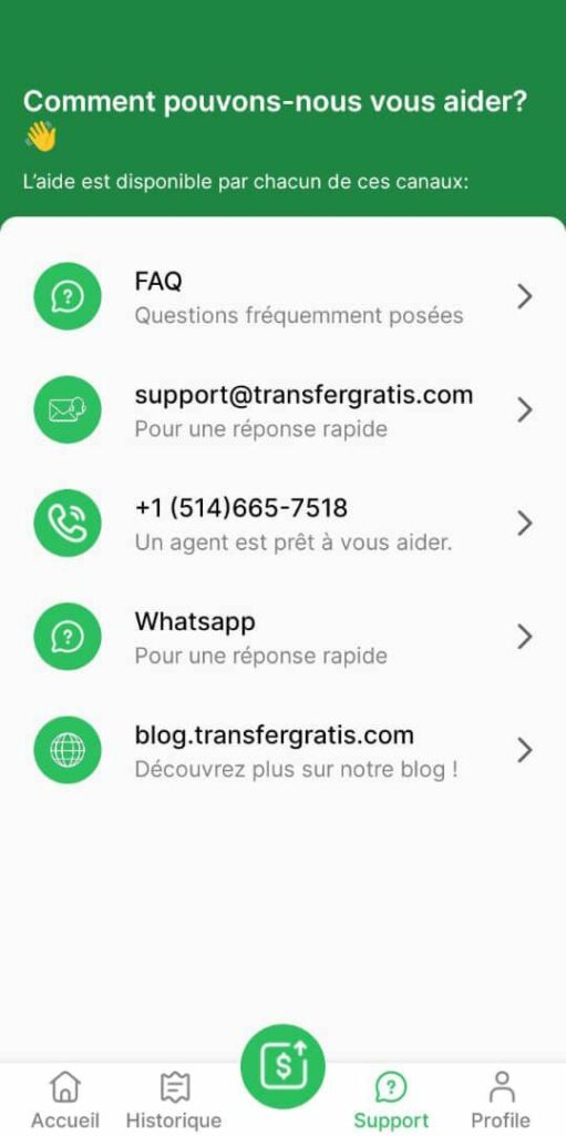 Comment utiliser Transfergratis facilement